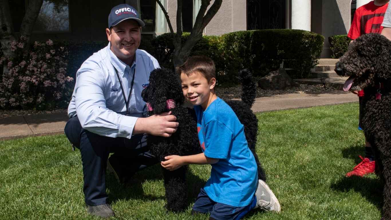 Mice Control - Residential Pest Control Services